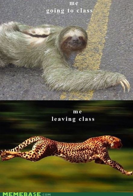 Just Evolution at Work - Memebase - Funny Memes