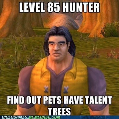 Noob WoW Player: Huntard - Video Games - video game memes, Pokémon GO