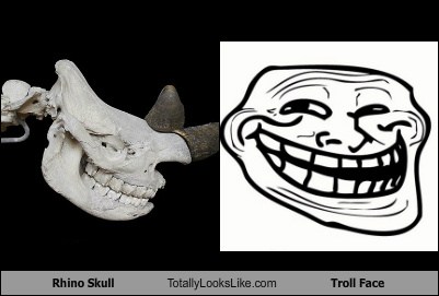 Rhino Skull Totally Looks Like Troll Face - Totally Looks Like