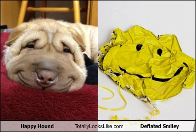 Happy Hound Totally Looks Like Deflated Smiley - Totally Looks Like