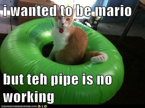 Lolcats - broken - Page 2 - LOL at Funny Cat Memes - Funny cat pictures ...