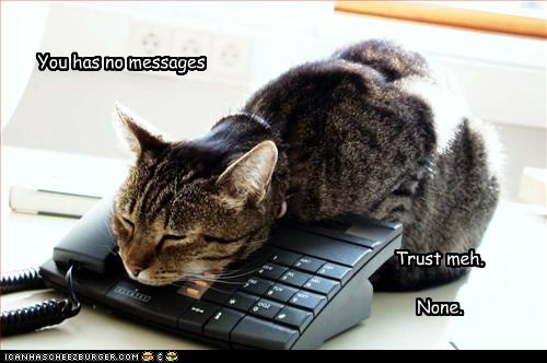 You has no messages - Lolcats - lol | cat memes | funny cats | funny ...