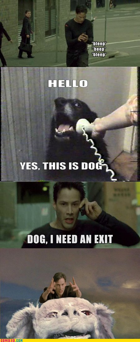 Memebase - matrix - Page 3 - All Your Memes In Our Base - Funny Memes ...