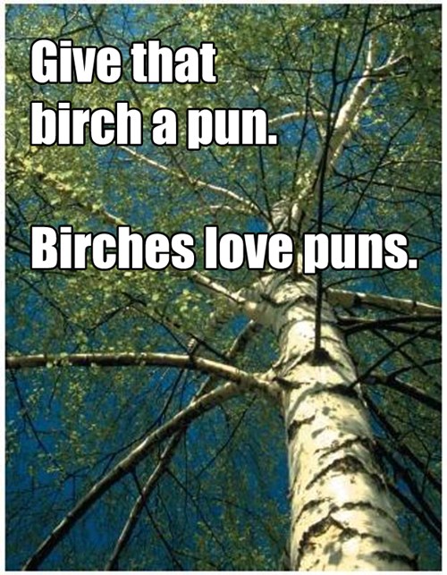 Puns - birch - Funny Puns - Pun Pictures - Cheezburger
