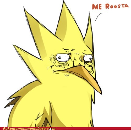Pokémemes - zapdos - Pokemon Memes - Pokémon, Pokémon GO - Cheezburger