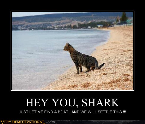 Very Demotivational - cat - Very Demotivational Posters - Start Your ...