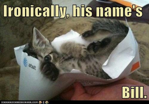 Ironically - Lolcats - lol | cat memes | funny cats | funny cat ...