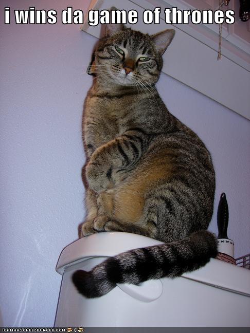 i wins da game of thrones - Lolcats - lol | cat memes | funny cats ...