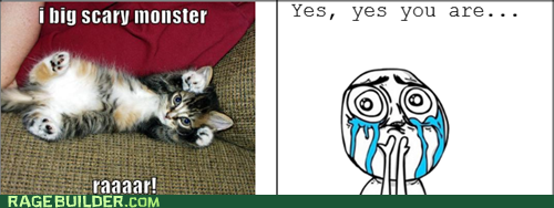 Rage Comics - cat - Rage Comics - rage comics - Cheezburger