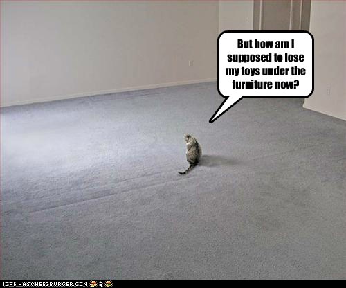 And then the human buys new ones - Lolcats - lol | cat memes | funny ...