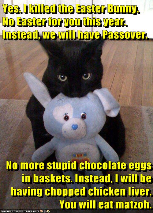 Yes. I killed the Easter Bunny. - Lolcats - lol | cat memes | funny ...