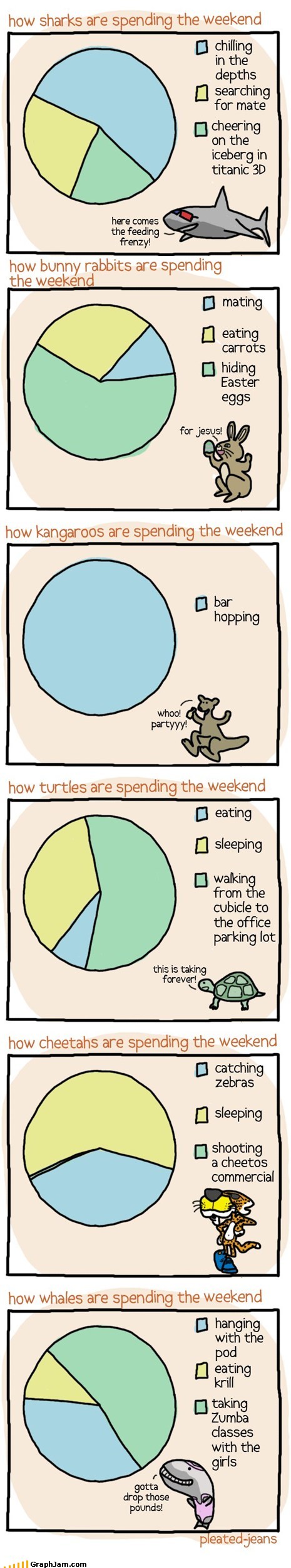 GraphJam - FRIDAY - funny graphs - Cheezburger