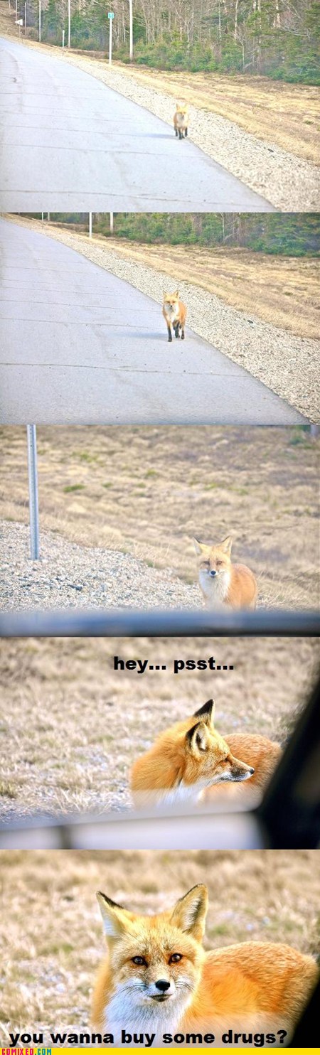 Firefox has New Add On - Web Comics - 4koma comic strip, webcomics, web ...