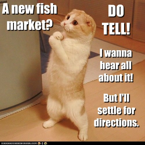 *OH PLEASE TELL ME, IT'S WITHIN WALKING DISTANCE!* - Lolcats - lol ...