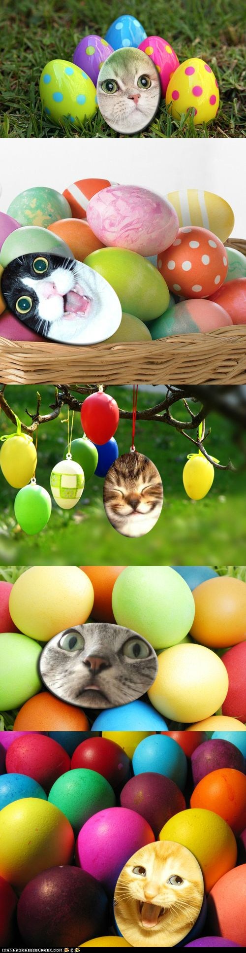 Congratulations to Our Easter Egg Hunt Winners! - I Can Has Cheezburger?