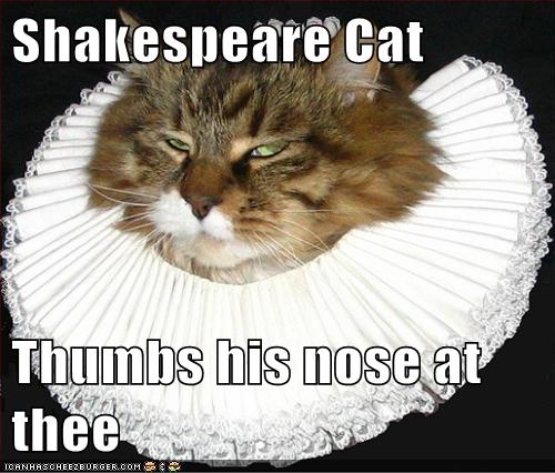 Lolcats - best of the week - Page 6 - LOL at Funny Cat Memes - Funny ...