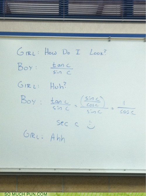 Puns - trigonometry - Funny Puns - Pun Pictures - Cheezburger
