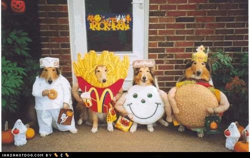 I Has A Hotdog - McDonald's - Funny Dog Pictures | Dog Memes | Puppy ...