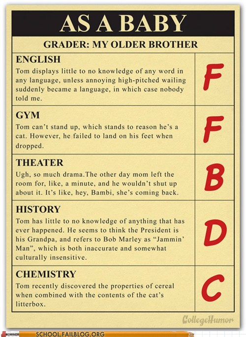 School of Fail - report card - homework class test - Cheezburger