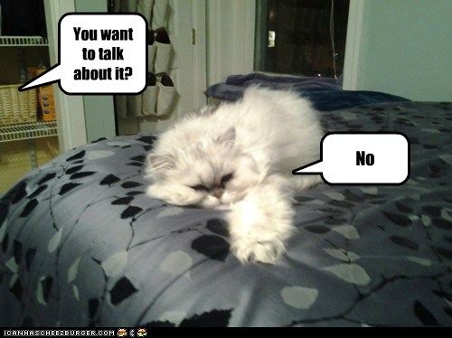 You want to talk about it? - Lolcats - lol | cat memes | funny cats ...