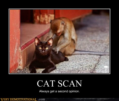 CAT SCAN - Very Demotivational - Demotivational Posters | Very ...