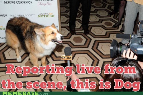 Yes, This Is Live - Memebase - Funny Memes