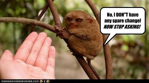 Animal Comedy - tarsier - Animal Comedy - Animal Comedy, funny animals ...