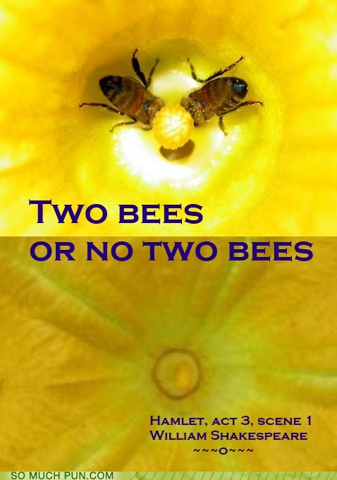 Puns - hamlet - Funny Puns - Pun Pictures - Cheezburger