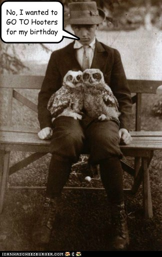 Historic LOLs - owls - funny pictures history - Cheezburger