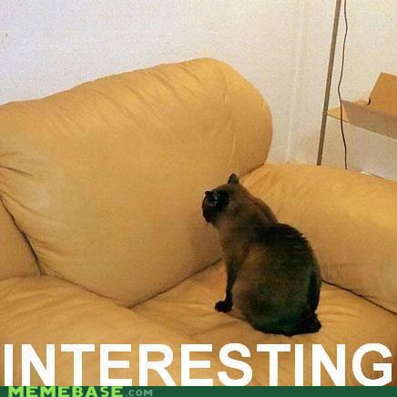 Tell Me Your Secrets, Couch - Memebase - Funny Memes