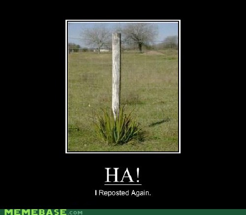 Your Requests Have Been Heard - Memebase - Funny Memes