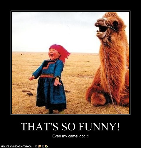 That's So Funny - Animal Comedy - Animal Comedy, funny animals, animal gifs