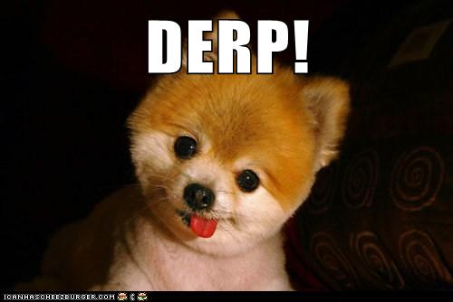 Derp - dogs - Page 3 - Derp Face Derps - hurr durr derp face - derp ...