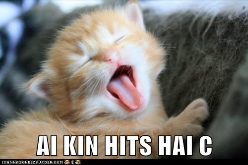 AI KIN HITS HAI C - Lolcats - lol | cat memes | funny cats | funny cat ...