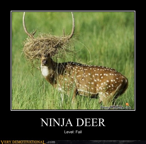 Very Demotivational - deer - Very Demotivational Posters - Start Your ...