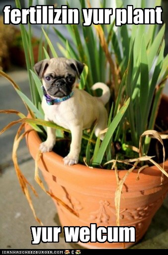 Fertilizer Memes