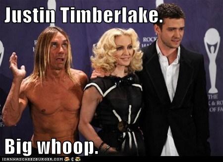 Pop Culture - iggy pop - funny celebrity pictures - Cheezburger