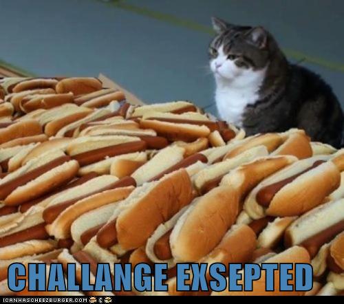 Lolcats - hotdogs - LOL at Funny Cat Memes - Funny cat pictures with ...