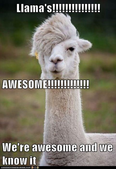 Awesomeness Meme