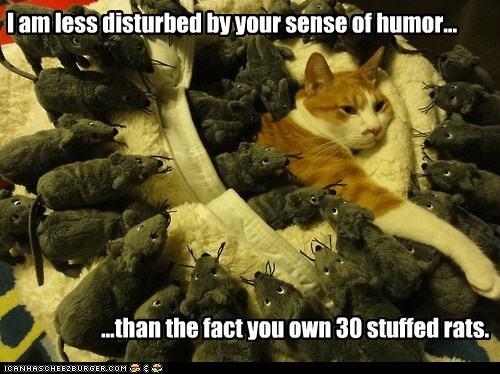 Lolcats - disturbing - LOL at Funny Cat Memes - Funny cat pictures with ...
