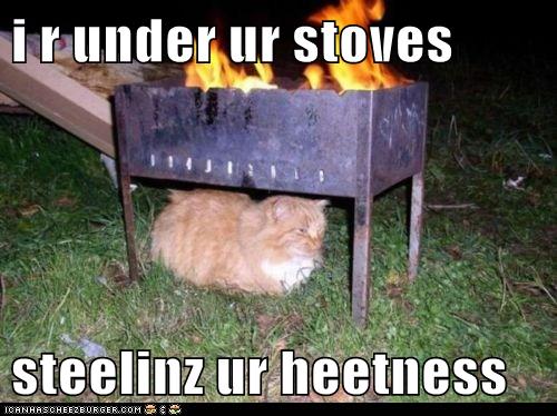 i r under ur stoves - Lolcats - lol | cat memes | funny cats | funny ...