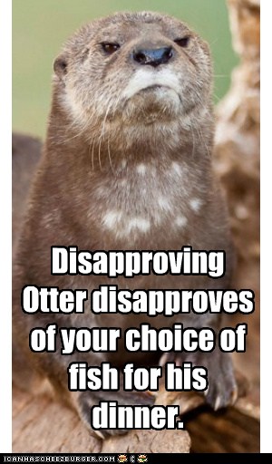 I Can Has Cheezburger? - complaining - Page 2 - Funny Animals Online ...