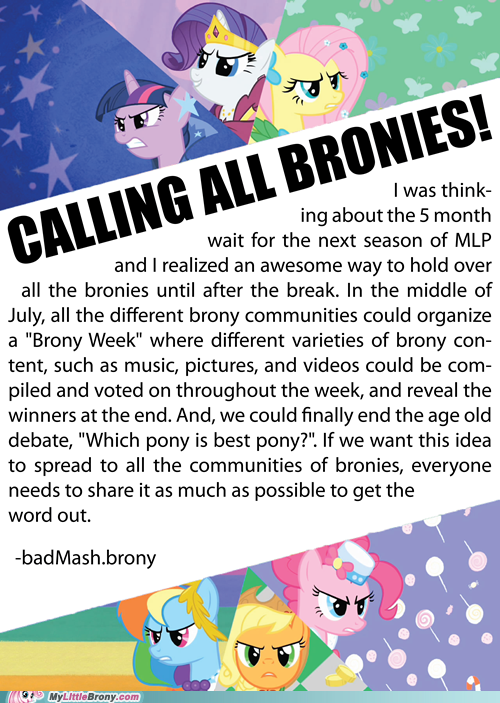 CALLING ALL BRONIES! - My Little Brony - my little pony, friendship is ...