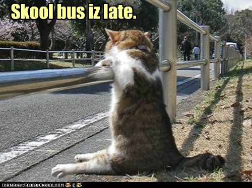 Skool bus - Lolcats - lol | cat memes | funny cats | funny cat pictures ...