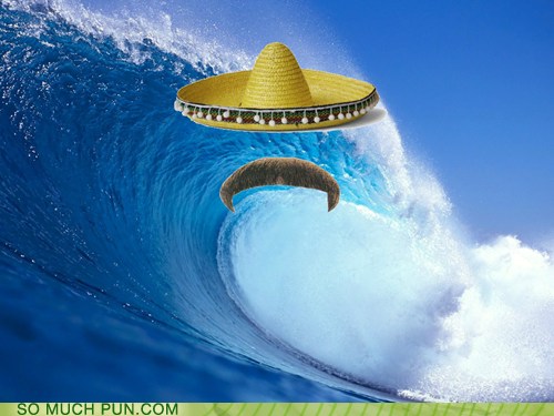 Mexican Wave - Puns - Pun Pictures