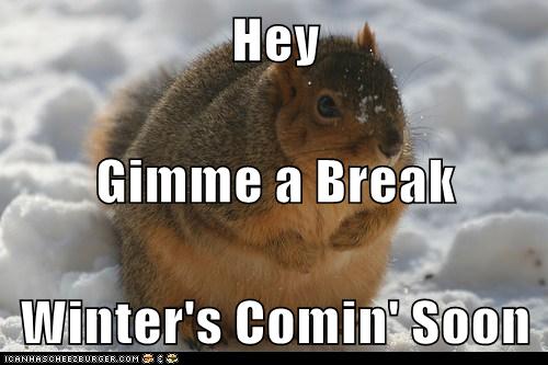 It's Survival of the Chubbiest Out Here - Animal Comedy - Animal Comedy ...