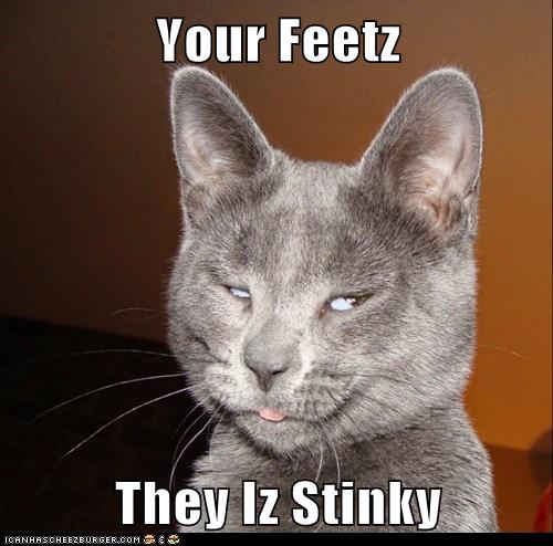 Derp - animals - Page 3 - Derp Face Derps - hurr durr derp face - derp ...