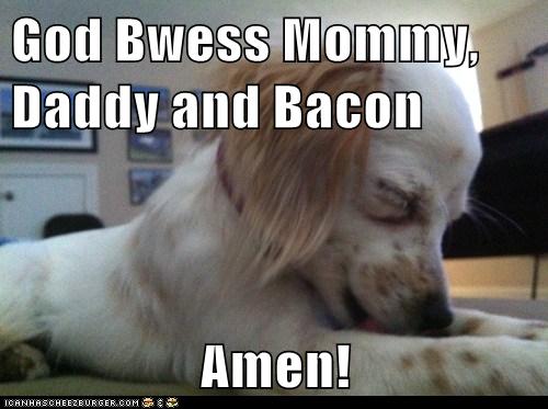 I Has A Hotdog - pray - Funny Dog Pictures | Dog Memes | Puppy Pictures ...