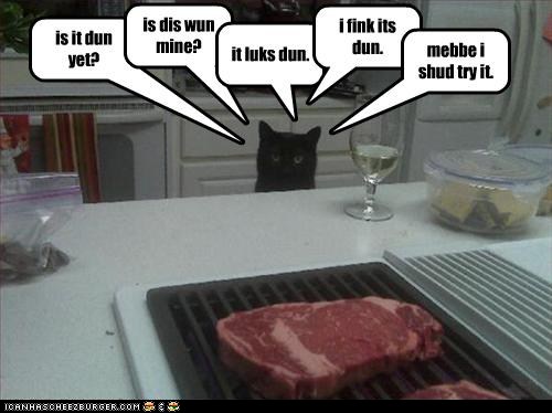 Classic LOLcat - Lolcats - lol | cat memes | funny cats | funny cat ...