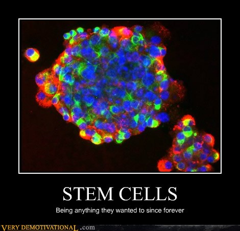 STEM CELLS - Very Demotivational - Demotivational Posters | Very ...